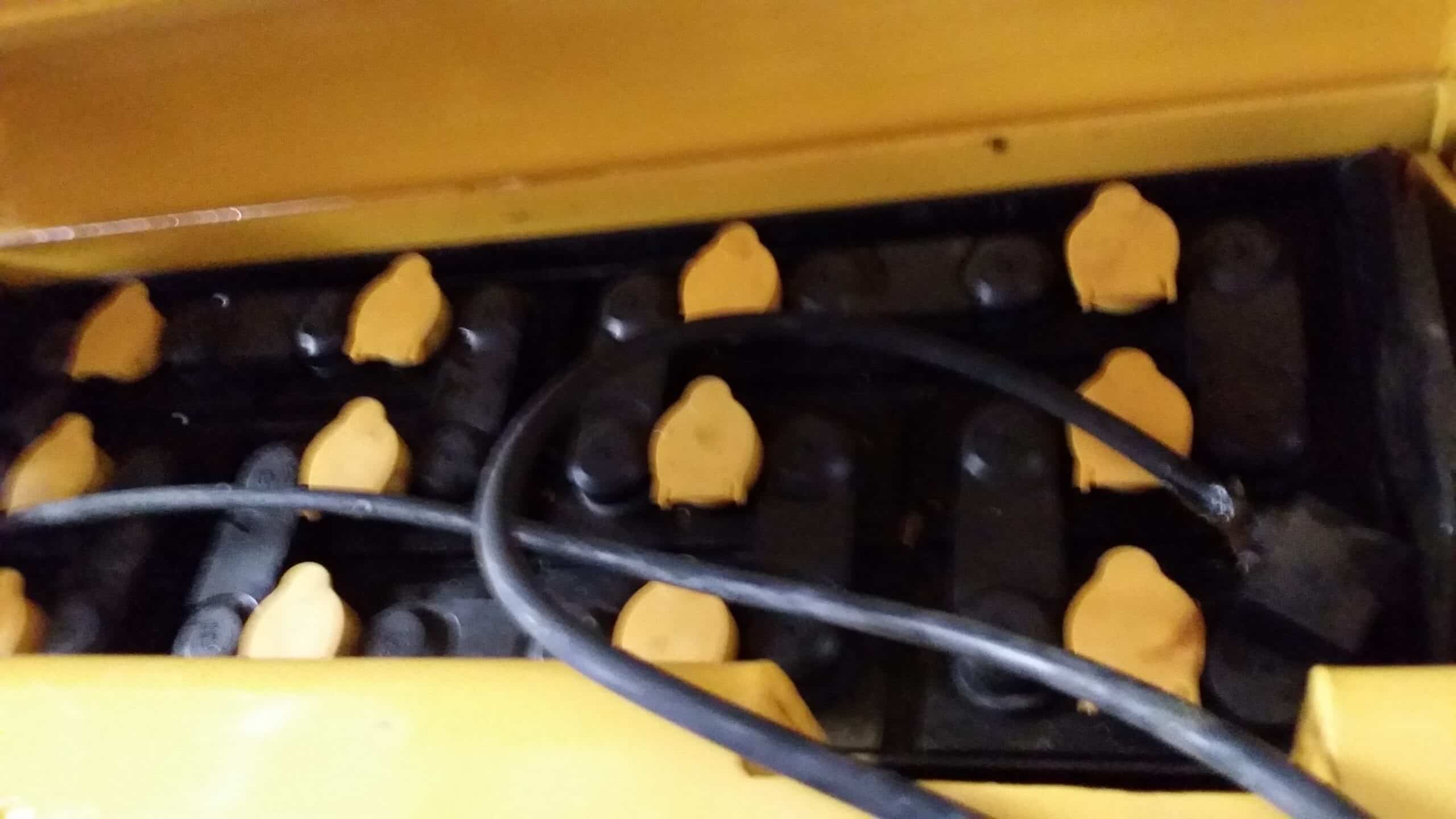 24v Battery Pack | Pallet jack Battery | Pallet stacker Battery